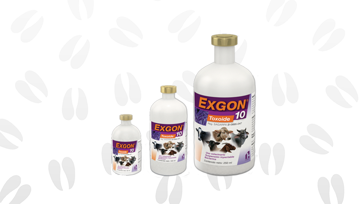 Exgon