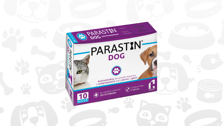 PARASTIN DOG