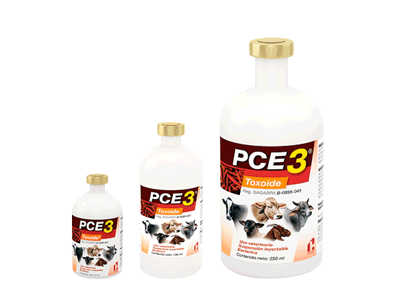 GRANDES ESPECIES BIOLOGICOS